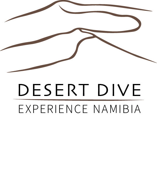 Coming Soon Seite – Desert Dive